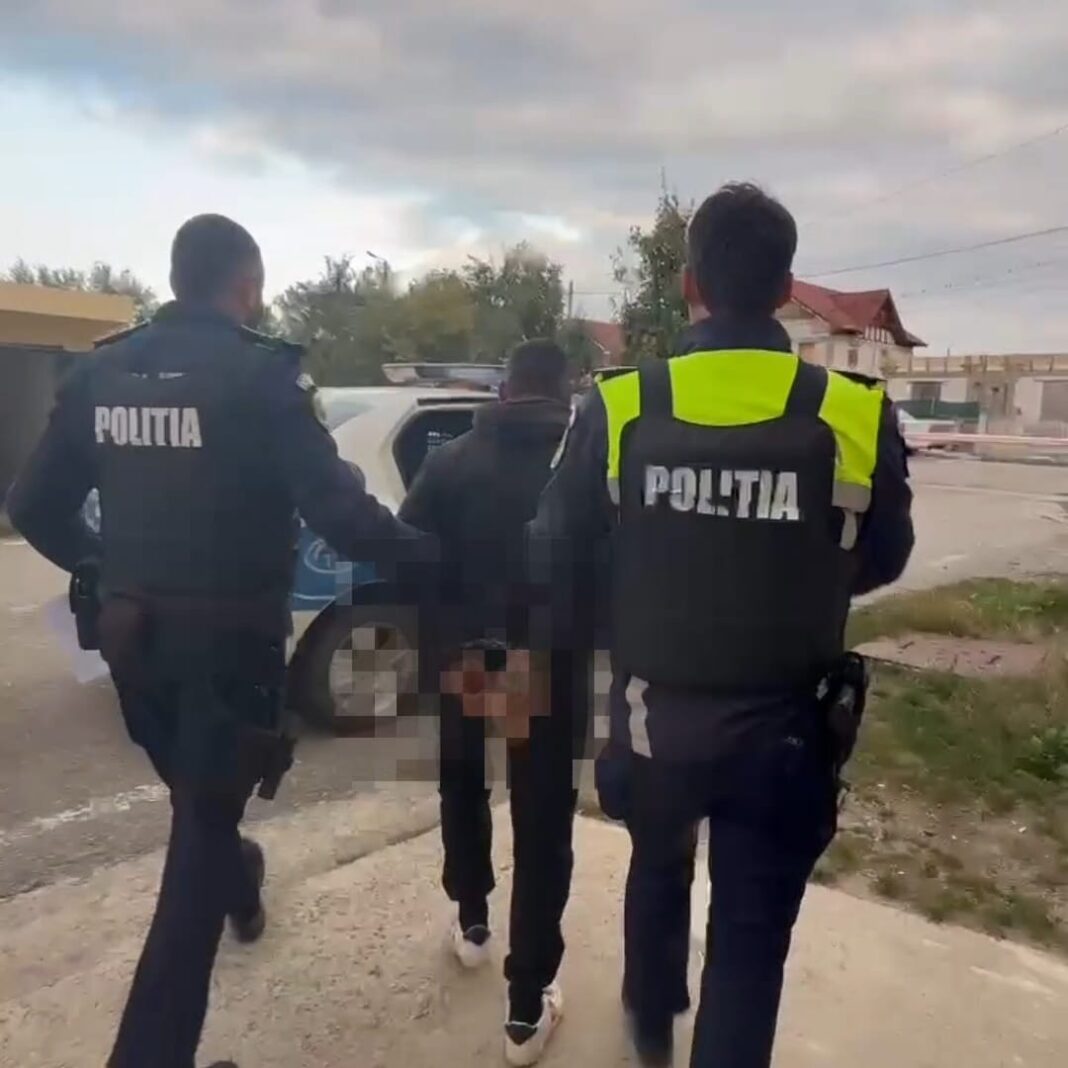 Doi bărbați, reținuți după ce au furat 3000 kg de furaje și 55 de pui ...